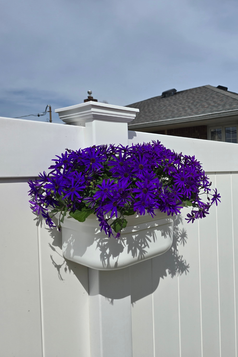 Find the Perfect PVC Fence Planter for Your Garden | Fencepot – fencepot